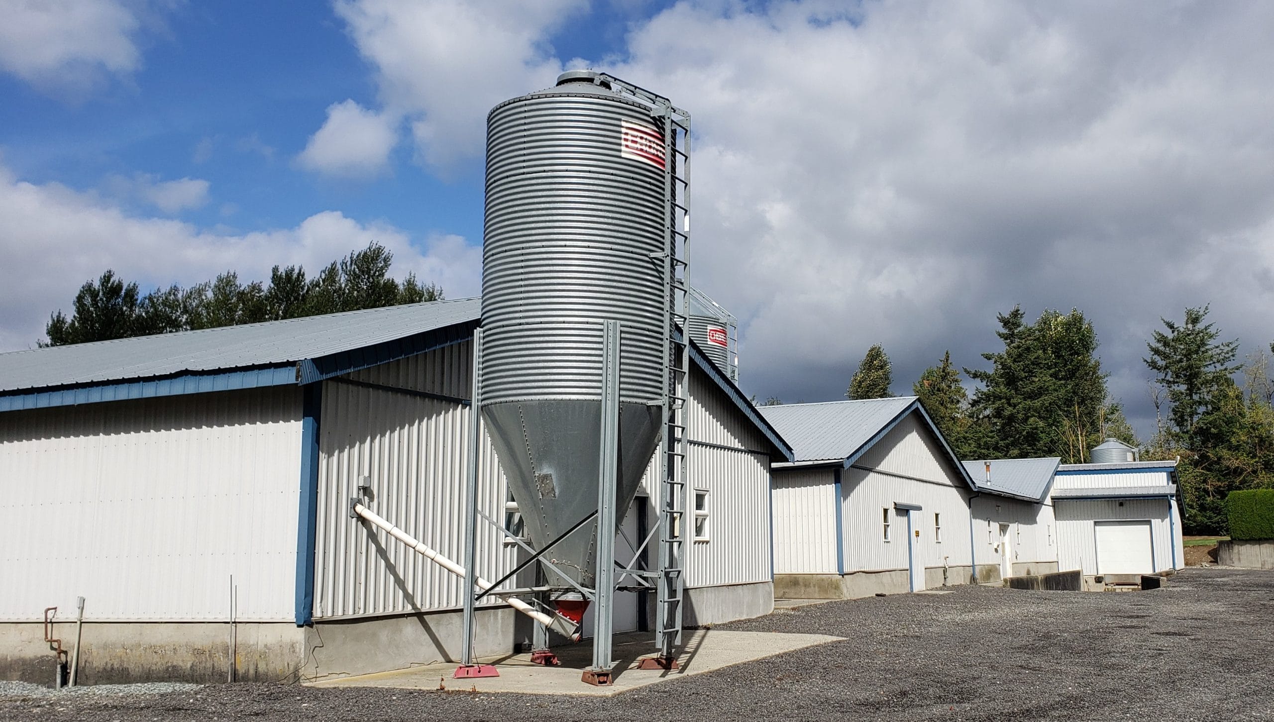 J&B Regier & Sons - BC Egg