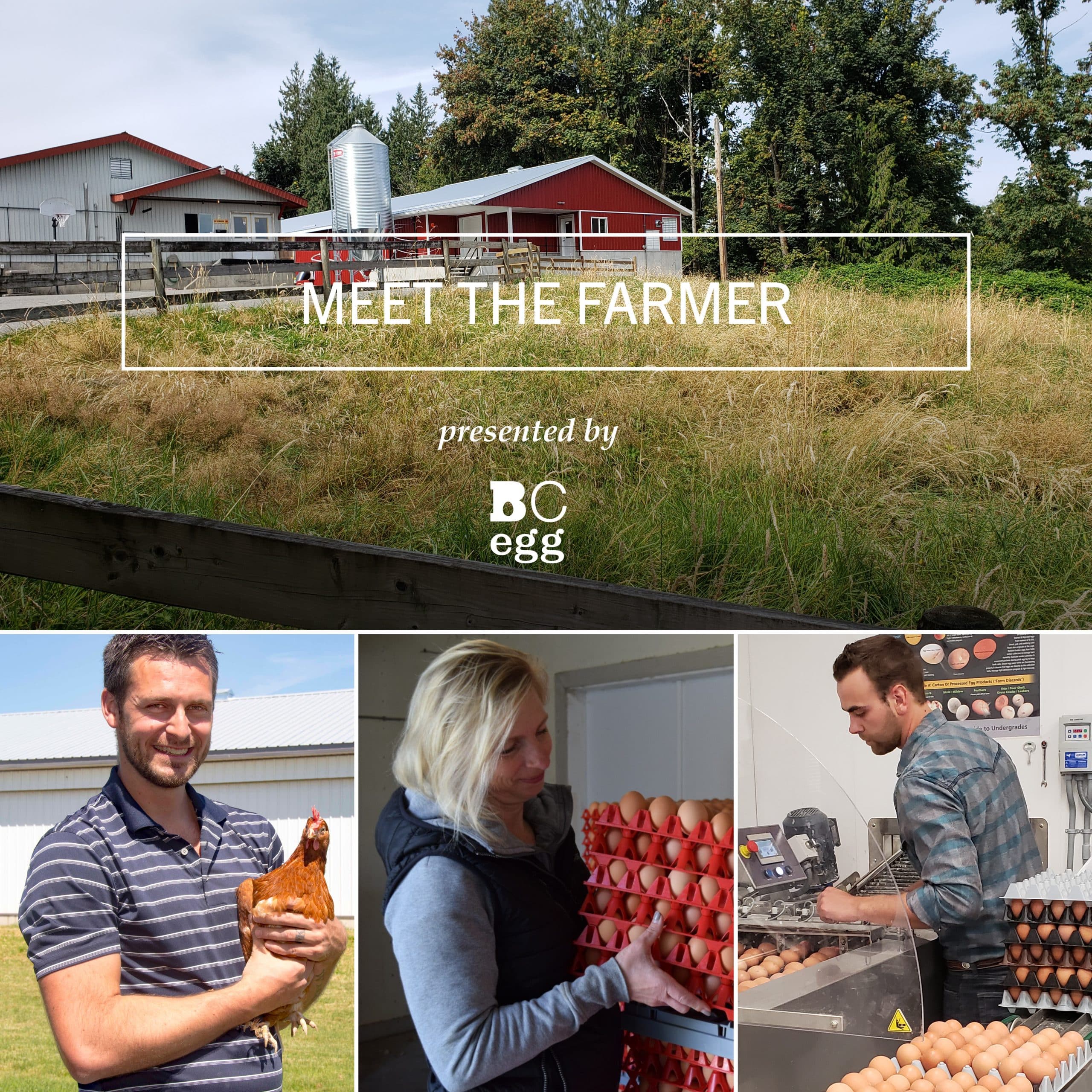 On the Farm - BC Egg