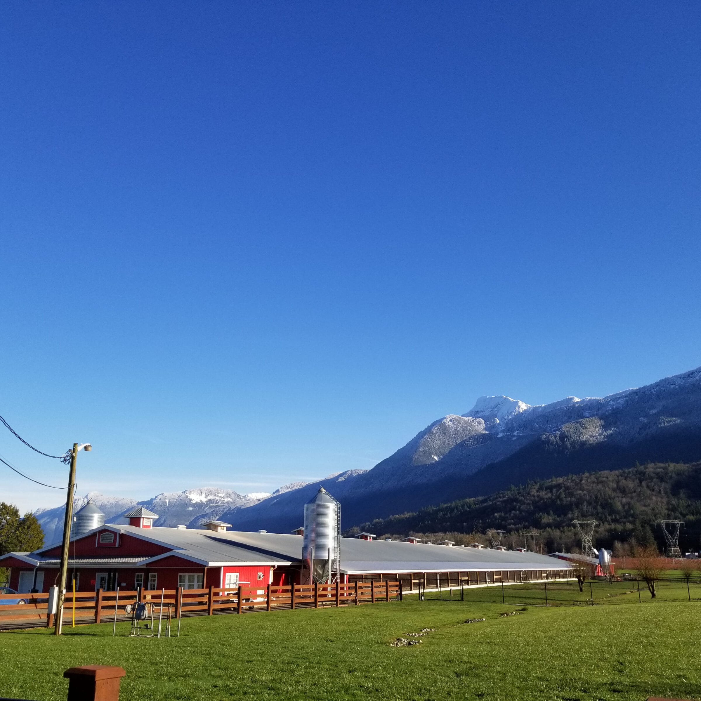 On the Farm - BC Egg